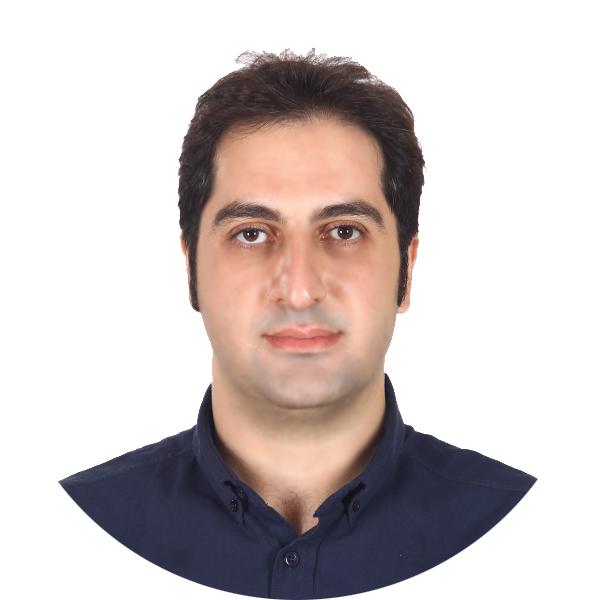 Mohammad H. Shayesteh